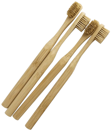 4-Pack Natural Non-Toxic Toothbrush – The Healthiest Website