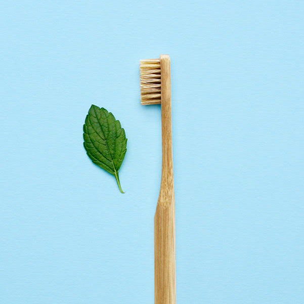 4-Pack Natural Non-Toxic Plastic-Free Toothbrush – The Healthiest Website